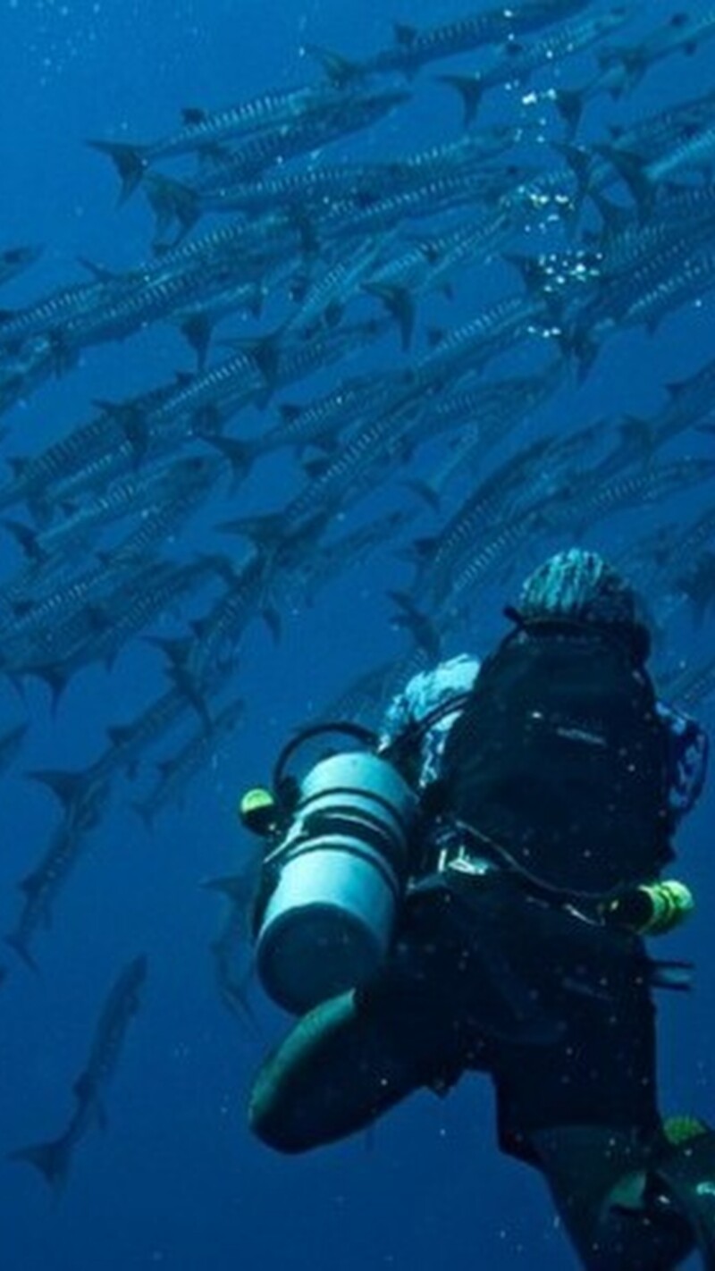 GILI SELANG - Amed White Sand Divers - Dive Resort in Bali
